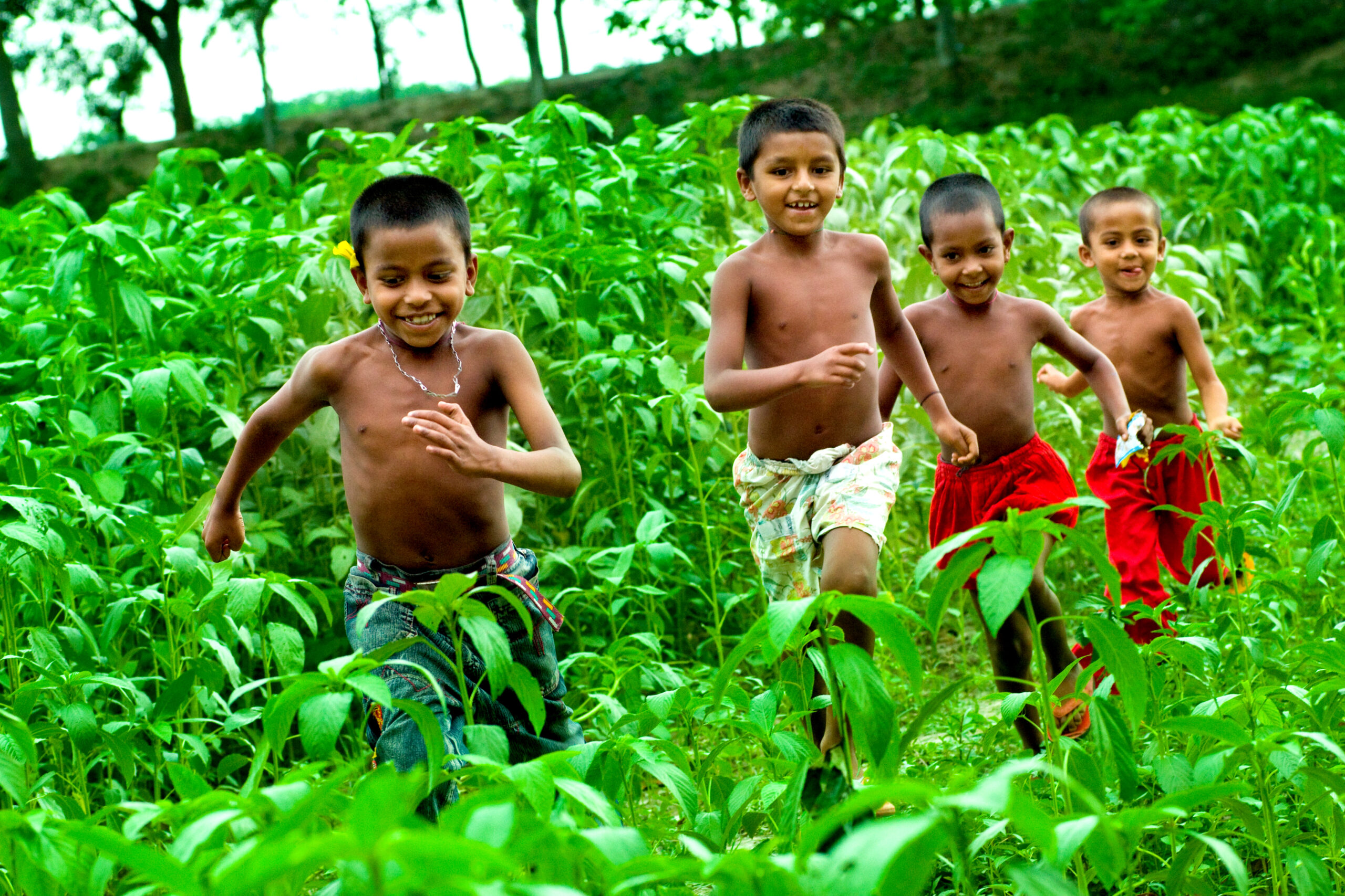 Our Impact – CHAMPS Health